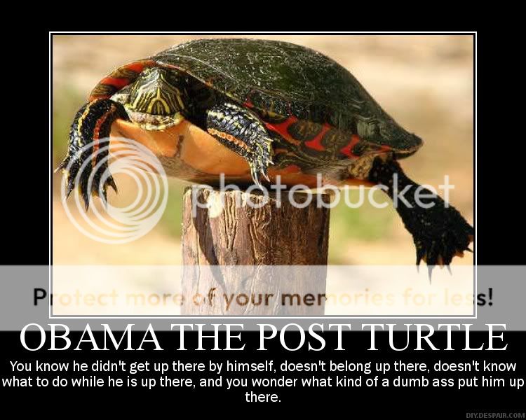 Post Turtle - AR15.COM