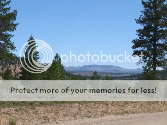 Probably more than you care to read about the Podunk Guard Station ...